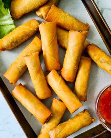 Vegetable Spring Rolls - Casually Peckish